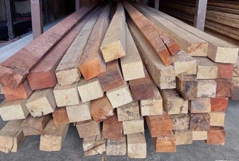 Daftar Harga Kayu Terbaru Oktober 2025 - Sejasa.com