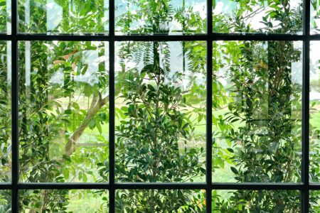 Interior Kaca, Bikin Ruangan Terlihat Lebih Luas - Sejasa HAPPY LIVING