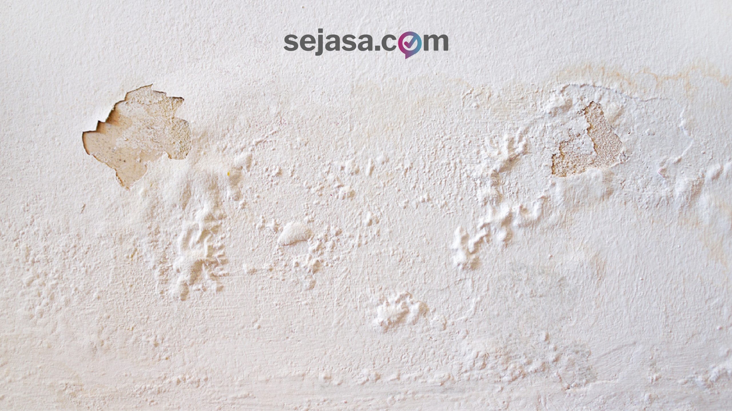4 Cara Mengatasi Dinding Rembes dan Lembap saat Hujan - Sejasa HAPPY LIVING